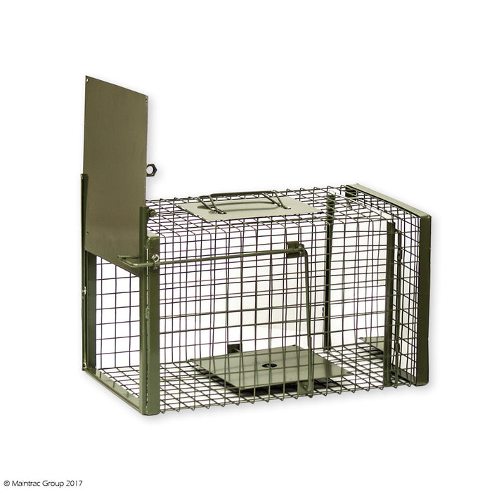 Magpie Trap | Bird & Animal Trap — Pestgard Traps