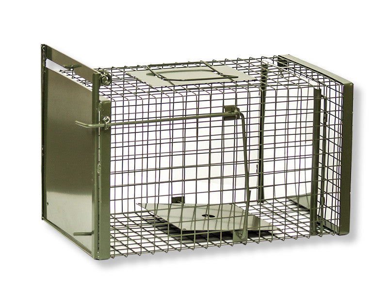 Magpie Trap | Bird & Animal Trap — Pestgard Traps