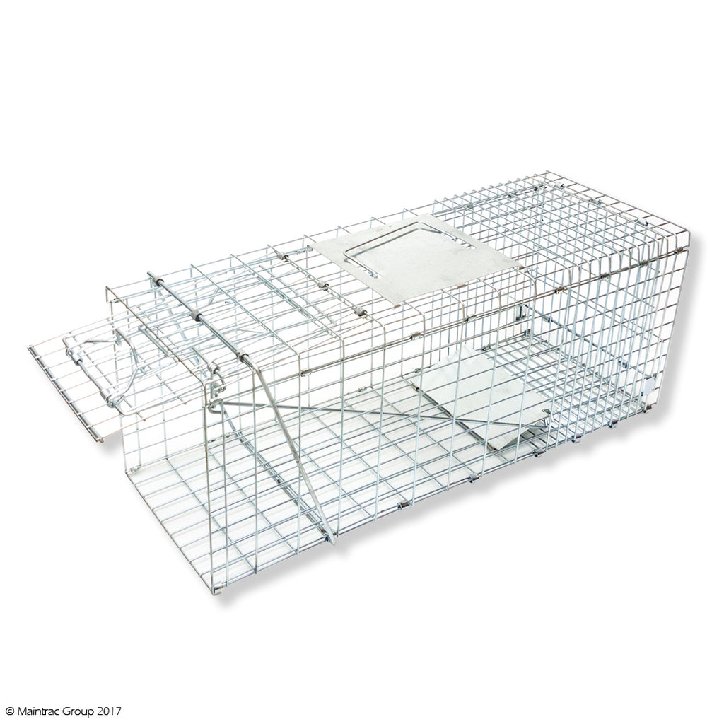Traps | Animal & Bird Traps | Humane live capture — Pestgard Traps