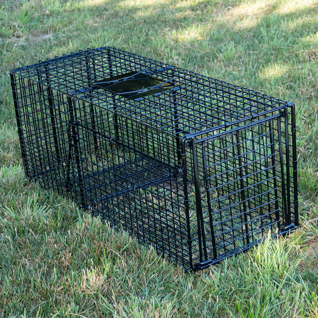 Professional Cage Trap | Cat Trap | Possum Trap | Live Capture ...