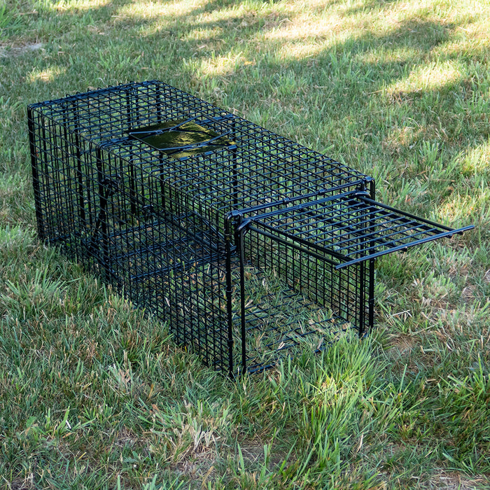 Professional Cage Trap | Cat Trap | Possum Trap | Live Capture ...