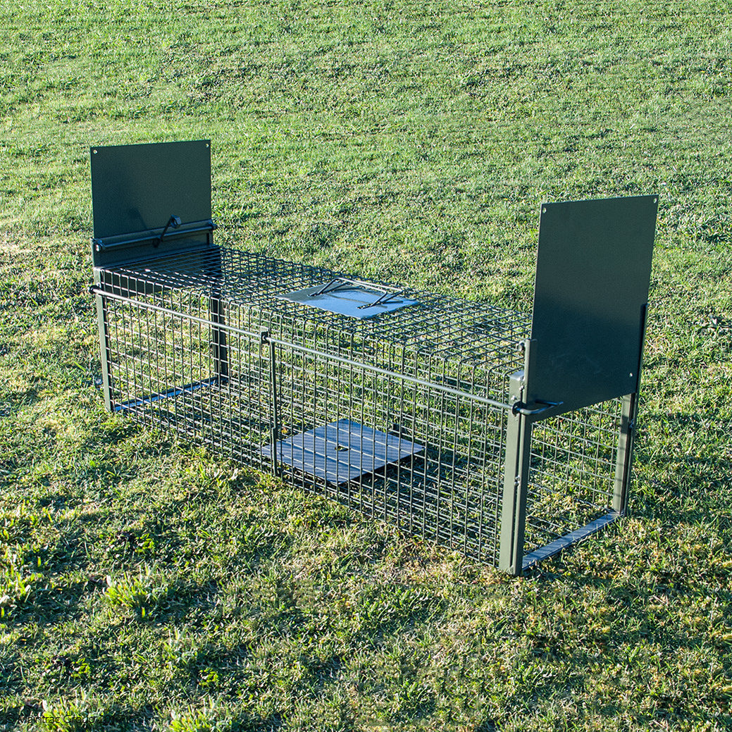 Traps | Animal & Bird Traps | Humane live capture — Pestgard Traps