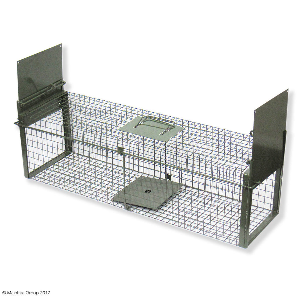 Traps | Animal & Bird Traps | Humane live capture — Pestgard Traps